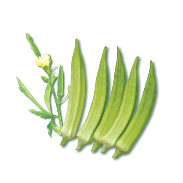 Khue Star Import Export Trading Company Limited | Vietnam Yellow Pages