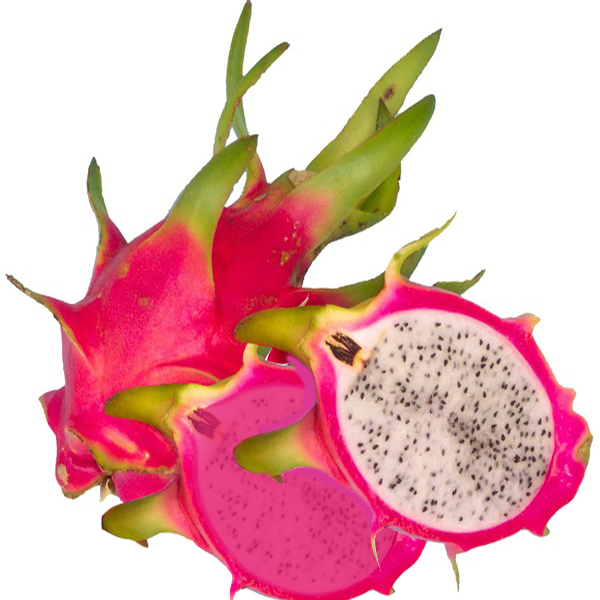 Khue Star Agricultural Products - Khue Star Import Export Trading Co ...