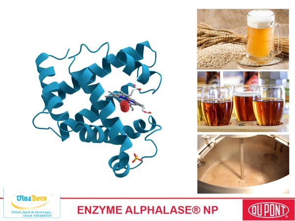 enzyme alphalase np - Provider, Supplier, Manufacturer enzyme alphalase ...