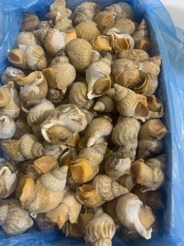 Ky Phong Seafood | Vietnam Yellow Pages