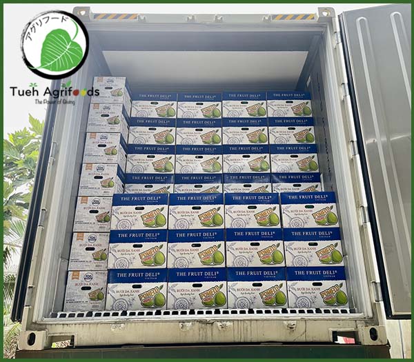 Pink Pomelo, Fresh Coconut & Durian Exporter from Vietnam - The Fruit ...