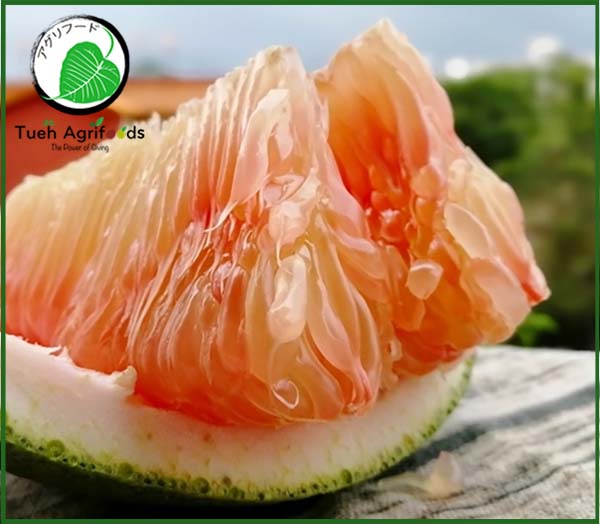 Pink Pomelo, Fresh Coconut & Durian Exporter from Vietnam - The Fruit ...
