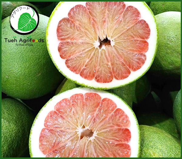 Pink Pomelo, Fresh Coconut & Durian Exporter from Vietnam - The Fruit ...
