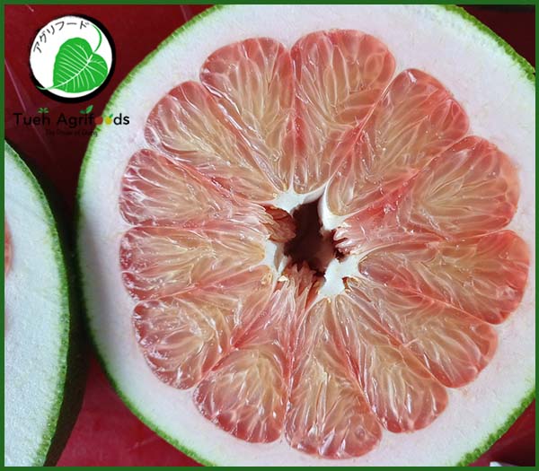 Pink Pomelo, Fresh Coconut & Durian Exporter from Vietnam - The Fruit ...